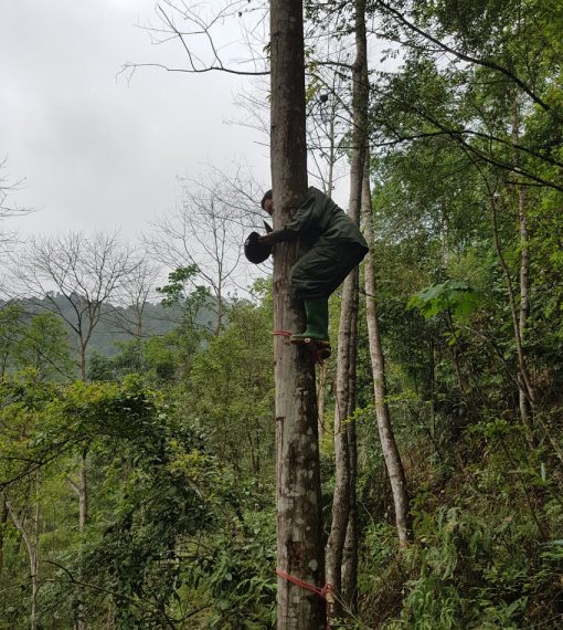 Home - Sticklac Vietnam