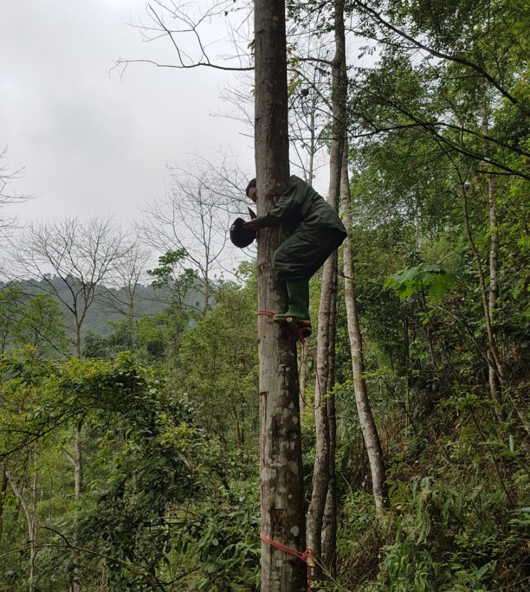 Home - Sticklac Vietnam