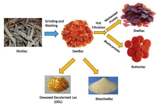Sticklac Flow Chart - Sticklac Vietnam